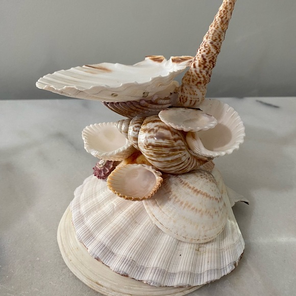 Storage & Organization | Seashell Jewelry Organizer Tower | Poshmark